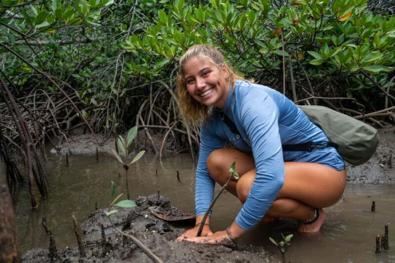 Nusa Penida/Lembongan: Mangrove Reforestation & Kanoe Tour - Key Points