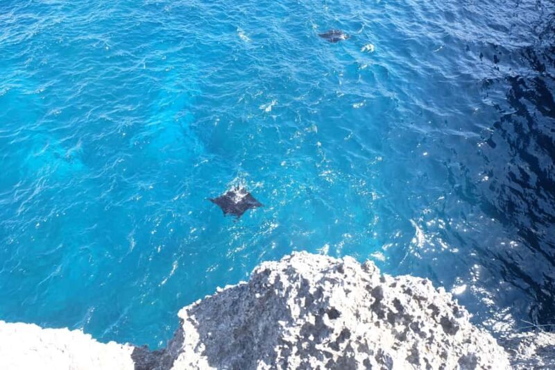 Nusa Penida: Private Car with Driver & Opt Fastboat Tickets - Who Should Consider This Tour?