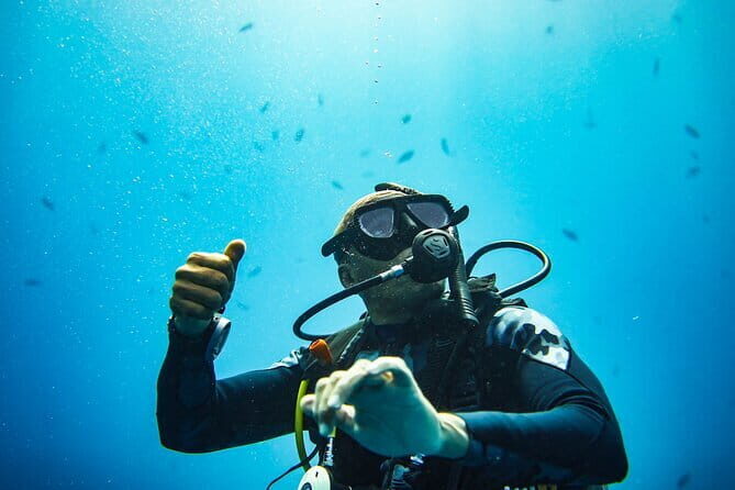 Nusa Penida Private Diving Tour by Speedboat - Key Points