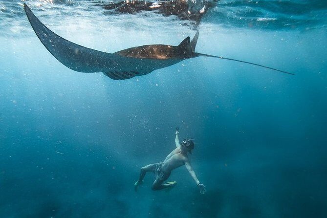 Nusa penida private senorkeling with Manta - An Honest Look at the Nusa Penida Private Snorkeling with Manta Tour