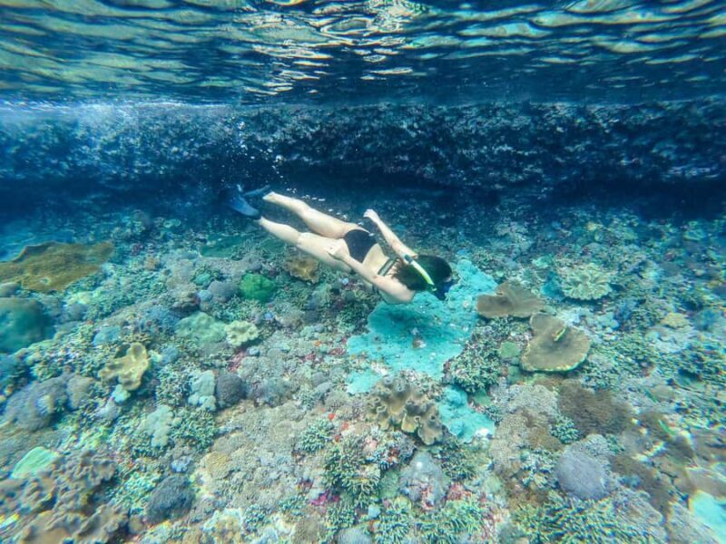 Nusa Penida: Private Snorkel, Chill Stop & Kelingking Sunset - Key Points