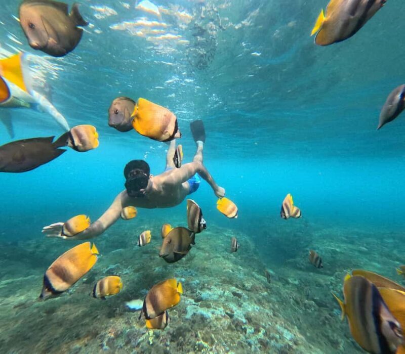 Nusa Penida: Private Snorkel, Chill Stop & Kelingking Sunset - Analyzing the Value