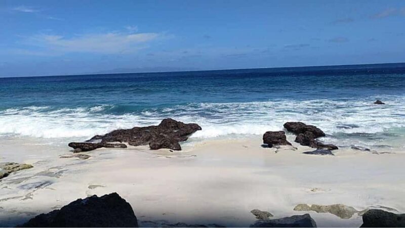 Nusa Penida: Sampalan, Suwehan, and Tembeling Tour - Key Points