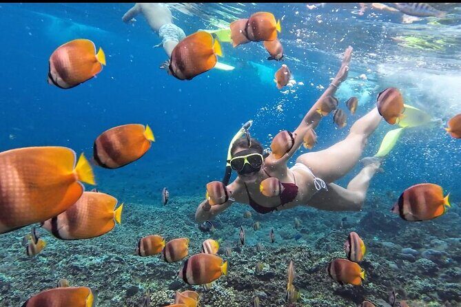 Nusa Penida Sharing Snorkeling with West Tour - A Lunch Break at Resto DUma