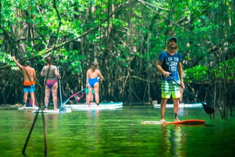 Nusa Penida: Snorkel 3 Spots w/ GoPro & Mangrove Paddle Tour - Who Will Enjoy This Tour?