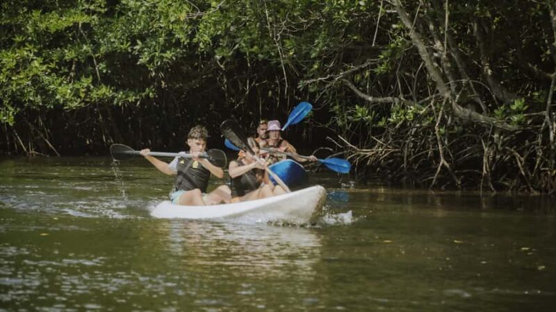 Nusa Penida: Snorkeling 3 Spots with GoPro & Kayak Mangroves - Who Should Consider This Tour?