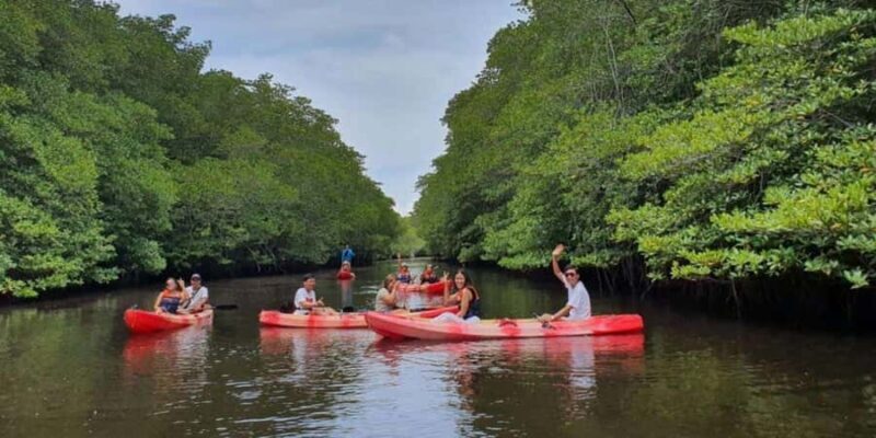 Nusa Penida: Snorkeling 3 Spots with GoPro & Kayak Mangroves - The Sum Up