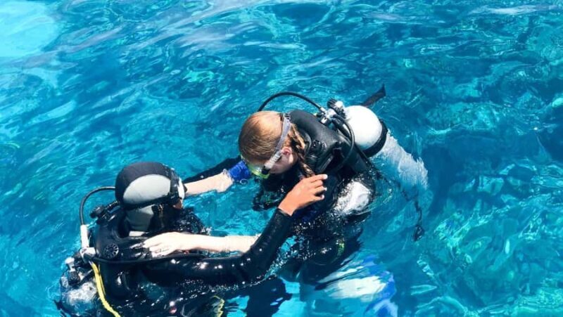 Nusa Penida: Snorkeling and Diving Adventure - Introduction: An Underwater Journey in Nusa Penida