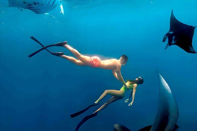 Nusa Penida Snorkeling and Uluwatu Sunset Tour with Dinner - A Detailed Dive into the Day’s Highlights