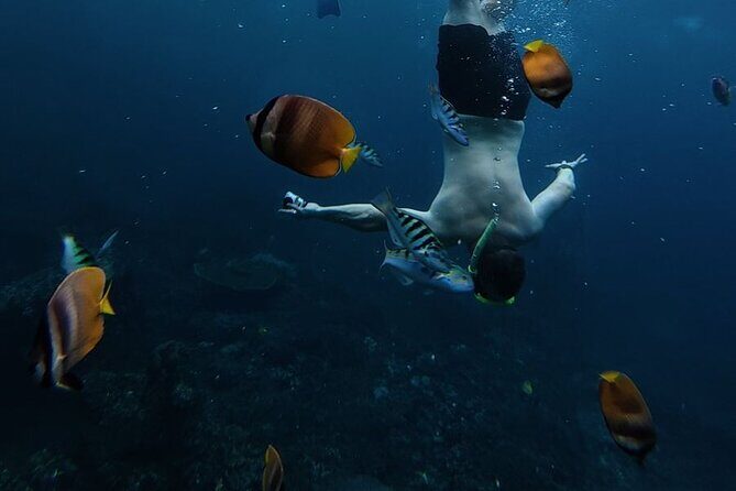 Nusa Penida Snorkeling: Manta Point & Island Day Trip - Final Thoughts