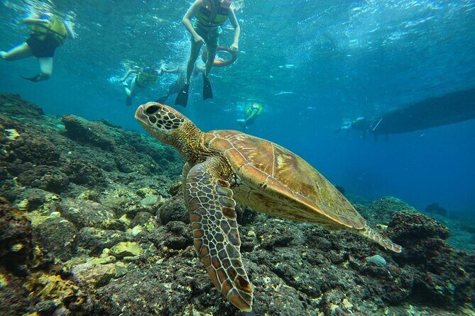 Nusa Penida Snorkeling: Manta Point & Island Day Trip - FAQ