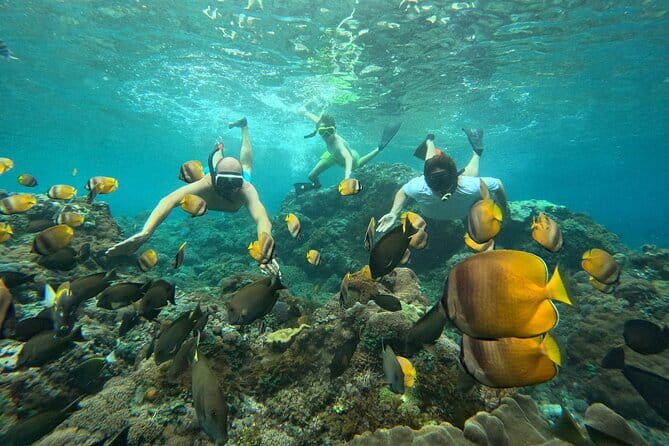 Nusa Penida Snorkeling Trip Manta Point Gamat Bay and Wall Bay - An Up-Cclose Look at the Experience