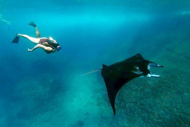 Nusa Penida Snorkeling with Manta Bay & Island Tour - The Itinerary in Detail
