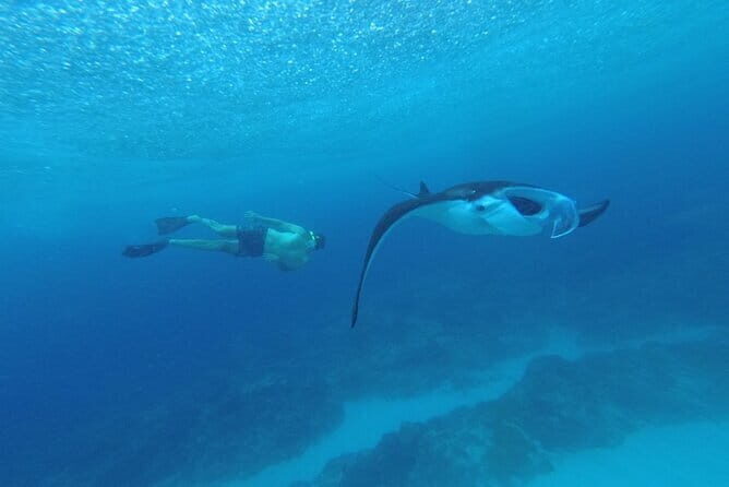 Nusa Penida Snorkling Package - Who Should Consider This Tour?