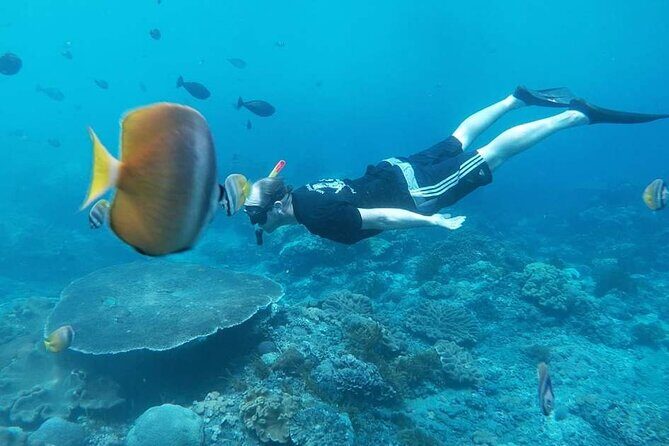 Nusa Penida Special Trip Snorkeling with Manta Rays and Land Tour - The Sum Up: Who Should Consider This Tour?