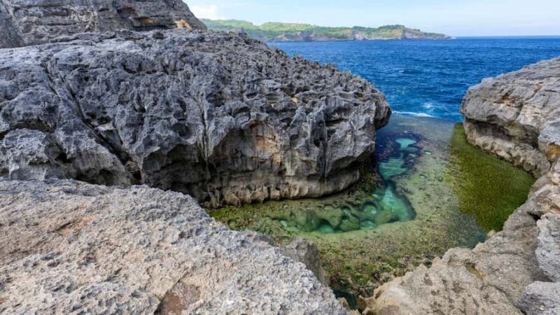 Nusa Penida Tour : Trip from Bali - Optional Bali Transfer - The Transportation and Logistics
