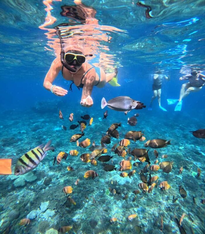 Nusa Penida: West Day Trip with Lunch and Snorkelling Tour - Key Points