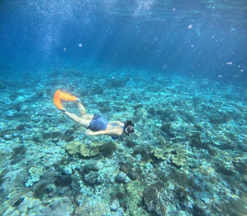 Nusa Penida: West Day Trip with Lunch and Snorkelling Tour - Practical Considerations