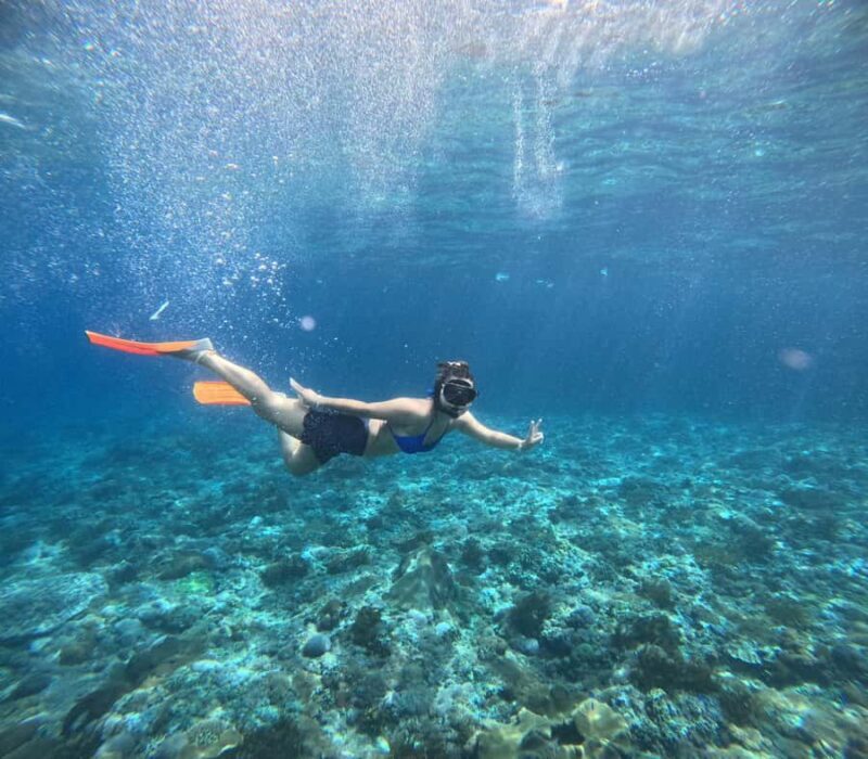 Nusa Penida: West Day Trip with Lunch and Snorkelling Tour - FAQ