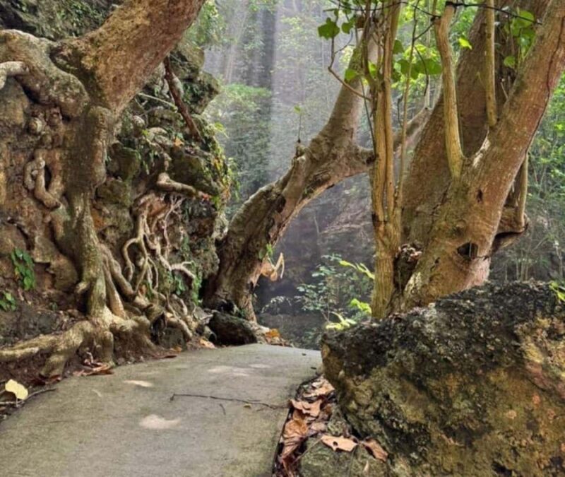 Nusa Penida: West Tour & Hidden Tembeling Pool - Key Points