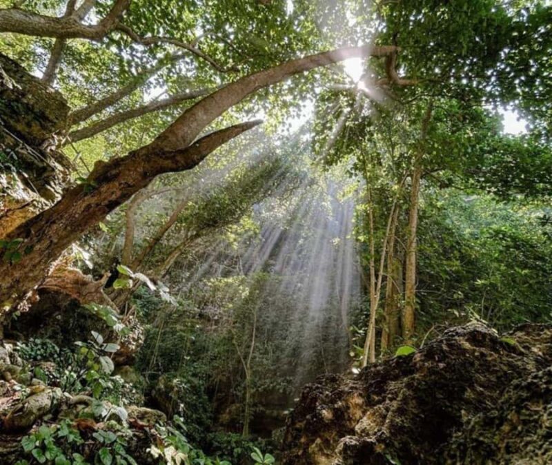 Nusa Penida: West Tour & Hidden Tembeling Pool - The Itinerary – A Deep Dive