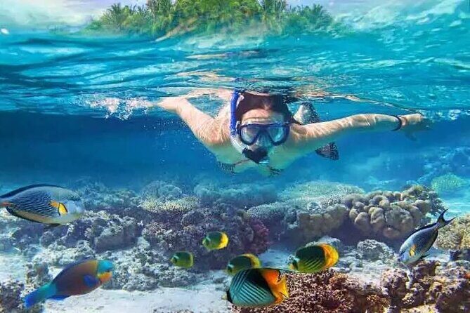 Nusa Penida West trip with snorkeling at 3 spot with Free Meals - Key Points