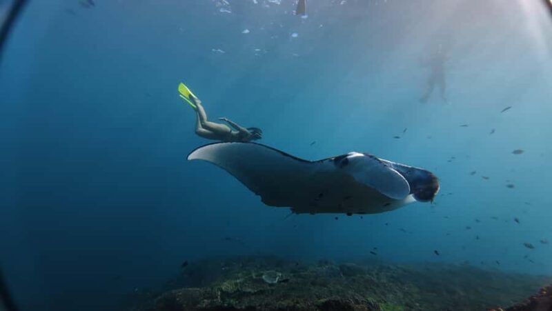 Nusa Penida:Private Land Tour & Snorkeling Nusa Penida - Nusa Penida: Private Land Tour & Snorkeling Nusa Penida — A Detailed Look