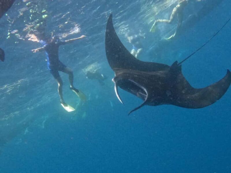 Nusapenida Snorkeling and Land Tour - Key Points