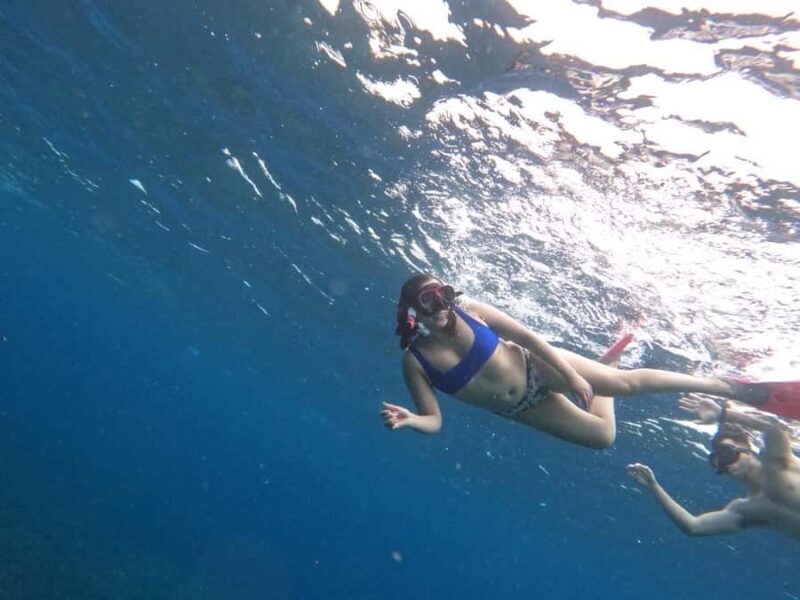 Nusapenida Snorkeling and Land Tour - Introduction: Who Might Enjoy This Tour?