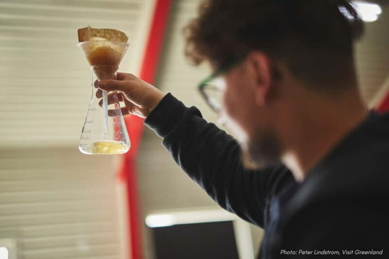 Nuuk: Greenlandic Beers, Burgers and Samplers Tasting Tour - The Modern Brewing Scene at Killut