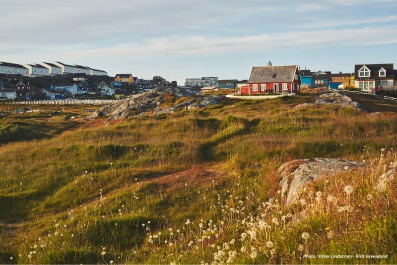 Nuuk Walking Tour with Museum Visit & Greenlandic Tasting - Practical Details and Value