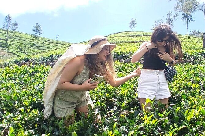 Nuwara Eliya 2 Tea Factory Tea Test &Pick 2 Waterfalls Nature Day - The Sum Up