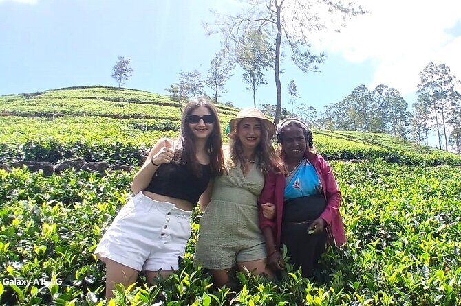 Nuwara Eliya 2 Tea Factory Tea Test &Pick 2 Waterfalls Nature Day - FAQs