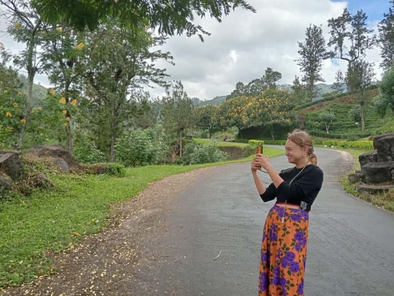 Nuwara Eliya: 8Hrs Tuk Tuk Tour to Waterfalls & Tea Tasting - Key Points