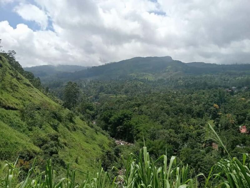 Nuwara Eliya: 8Hrs Tuk Tuk Tour to Waterfalls & Tea Tasting - A Detailed Look at the Tour Experience