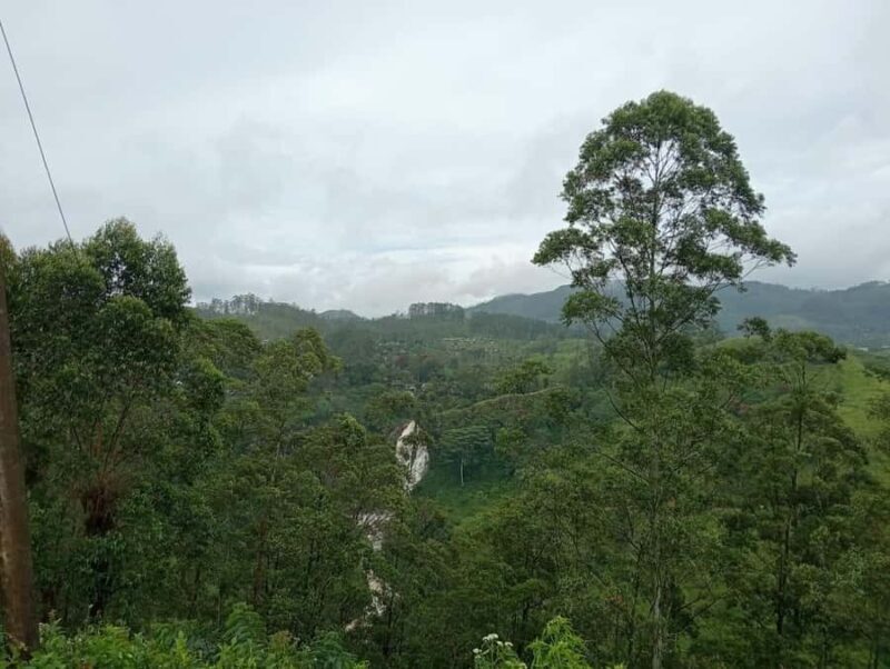 Nuwara Eliya: 8Hrs Tuk Tuk Tour to Waterfalls & Tea Tasting - Final Thoughts: Who Should Book This Tour?