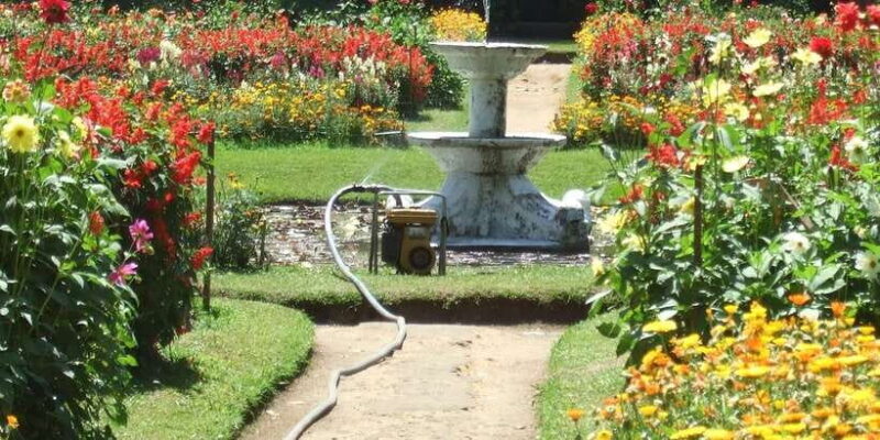 Nuwara Eliya: All-Inclusive Private Sightseeing Day Tour - Key Points