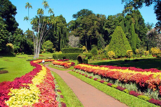 Nuwara Eliya City Tour - Is This Tour Right for You?