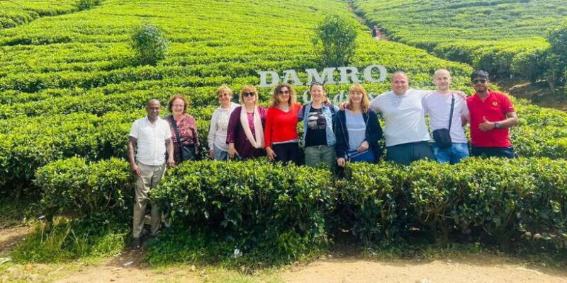 Nuwara Eliya Day Tour from Kandy (Private Tour) - Key Points