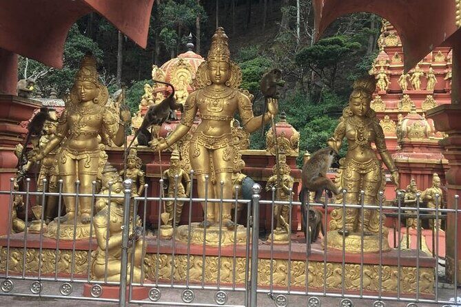 Nuwara Eliya Half Day Private Hiking and Sightseeing Tour - Exploring the Details of the Itinerary