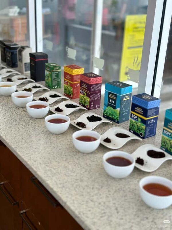 Nuwara Eliya: Hidden Falls & Tea A Local Journey Tuk Tuk - On the Practical Side