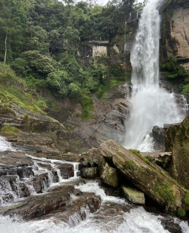 Nuwara Eliya: Hidden Falls & Tea A Local Journey Tuk Tuk - Final Thoughts