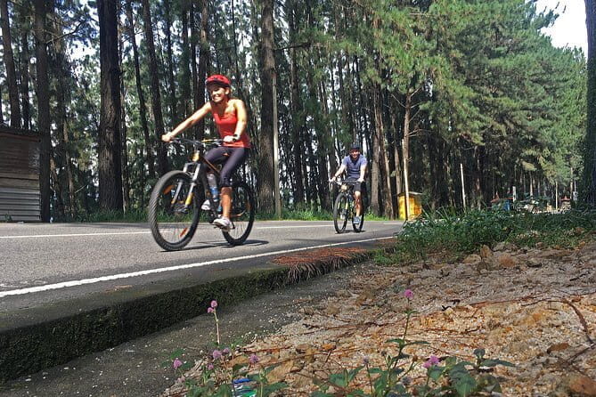 Nuwara Eliya Highlands Cycling Tour from Kandy - An In-Depth Look at the Tour Experience