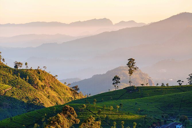 Nuwara Eliya Highlands from Kandy - An In-Depth Look at the Experience