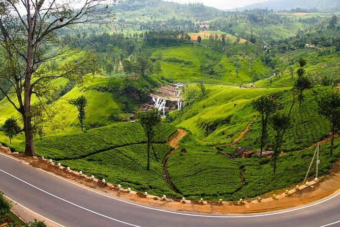 Nuwara Eliya journey by Train and car (2 Days with 01 Night) - Who Should Book This Tour?