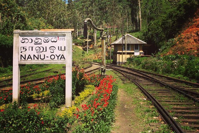 Nuwara Eliya journey by Train and car (2 Days with 01 Night) - The Sum Up