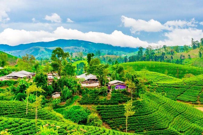 Nuwara Eliya journey by Train and car (2 Days with 01 Night) - FAQ