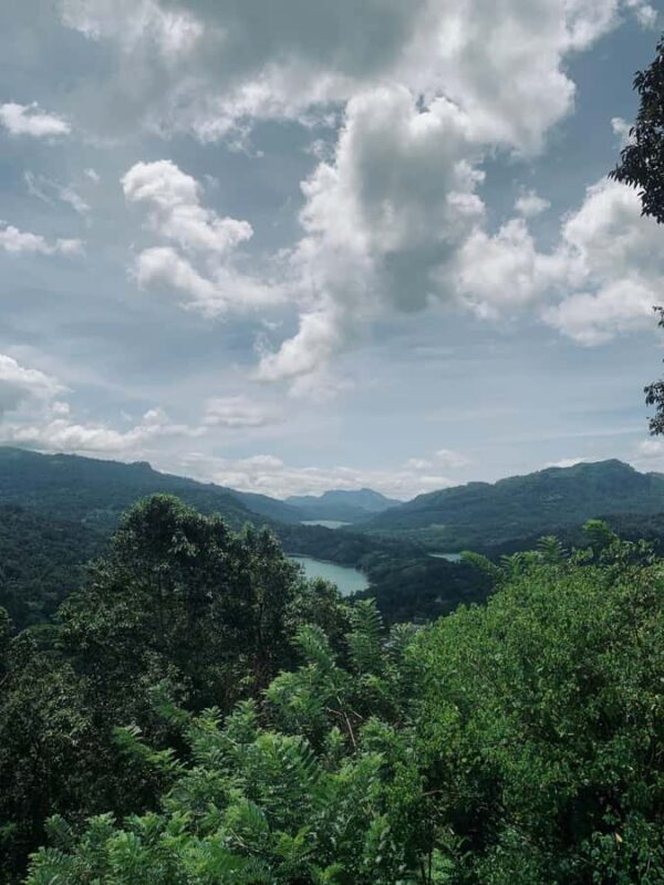 Nuwara Eliya: Premium Tea & Waterfall Tour - Private SUV - Price and Value