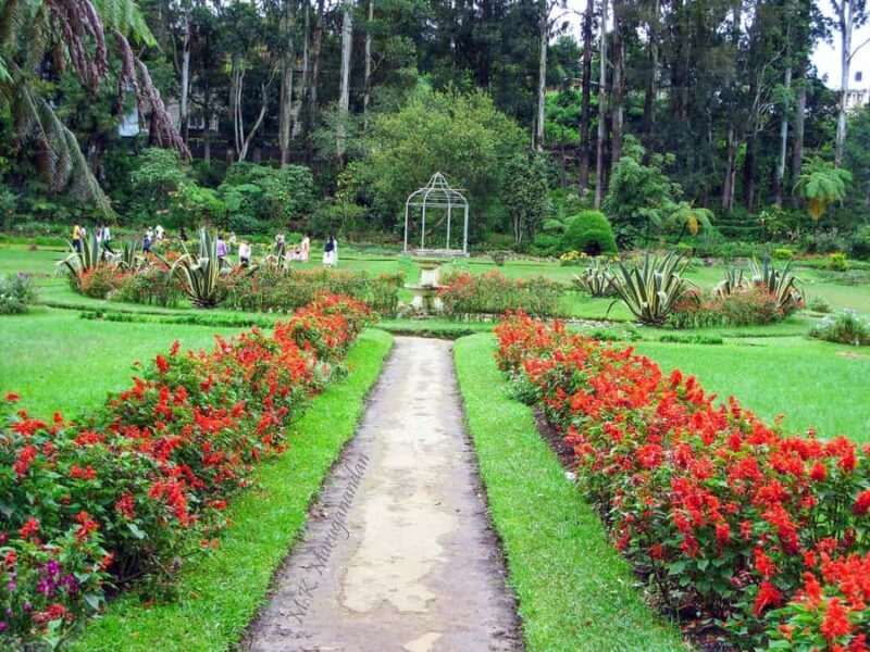 Nuwara Eliya: Private City Tour by Tuk Tuk - Key Points