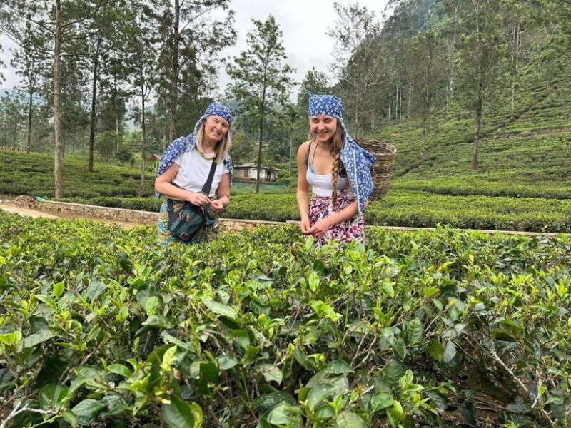 Nuwara Eliya: Private Sightseeing Tuk-Tuk Tour - What Travelers Say